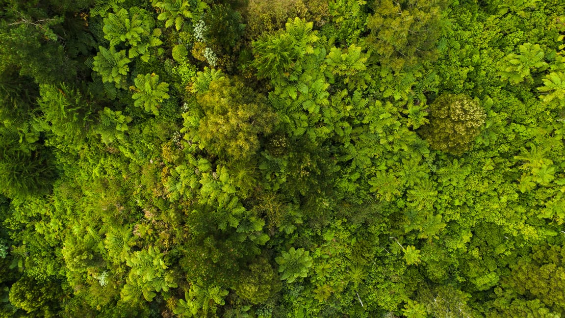 About Us - Sushee Infra